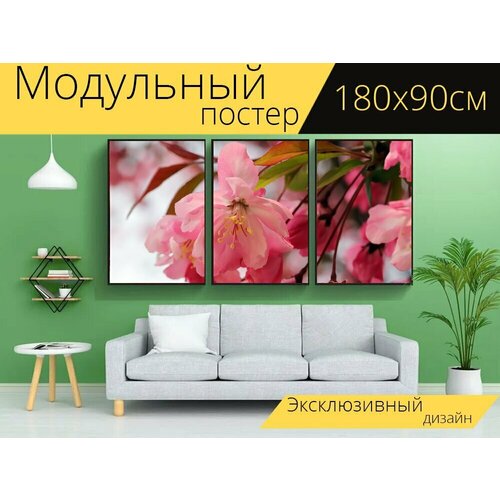 Модульный постер "Цветочное яблоко, весна, дерево" 180 x 90 см. для интерьера