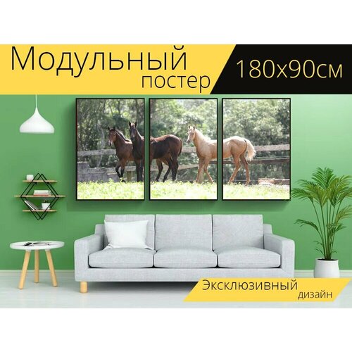 Модульный постер "Лошадь, ферма, ковбой" 180 x 90 см. для интерьера