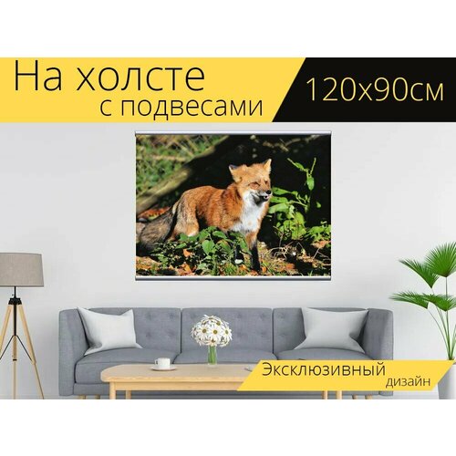 Картина на холсте "Рыжая лиса, лиса, дикое животное" с подвесами 120х90 см. для интерьера