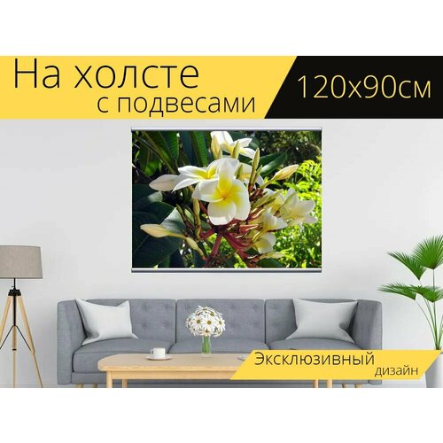 Картина на холсте "Франжипани, цветок, крем" с подвесами 120х90 см. для интерьера