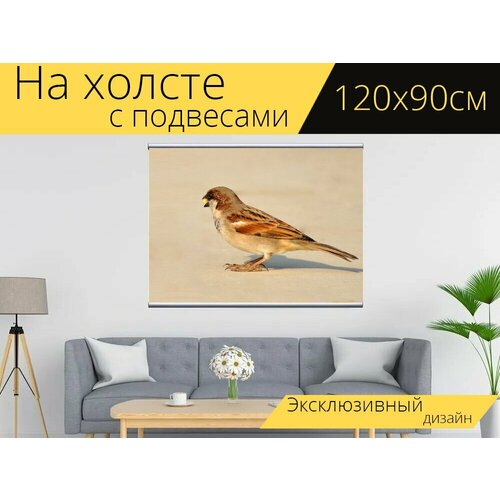 Картина на холсте "Воробей, птица, птицы" с подвесами 120х90 см. для интерьера