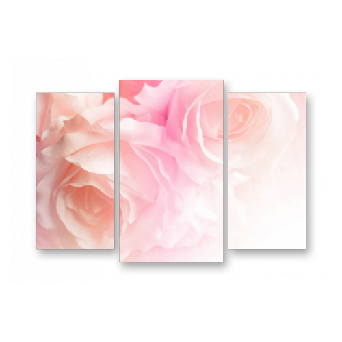 Модульная картина на холсте | Diva Kartina | Цветы. Свежесть розы | 100X70 см