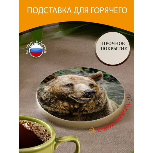 Подставка под горячее "Бурый медведь, зоопарк, животные" 10 см. из блого мрамора