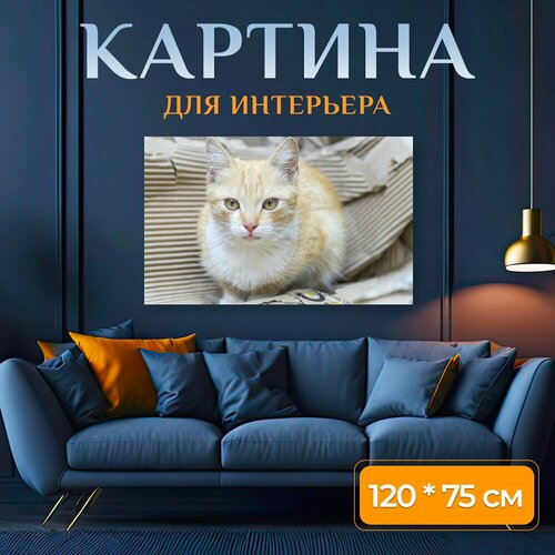 Картина на холсте "Кошка, домашний питомец, животное" на подрамнике 120х75 см. для интерьера