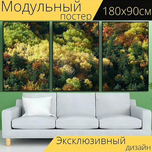 Модульный постер "Осень, лес, природа" 180 x 90 см. для интерьера