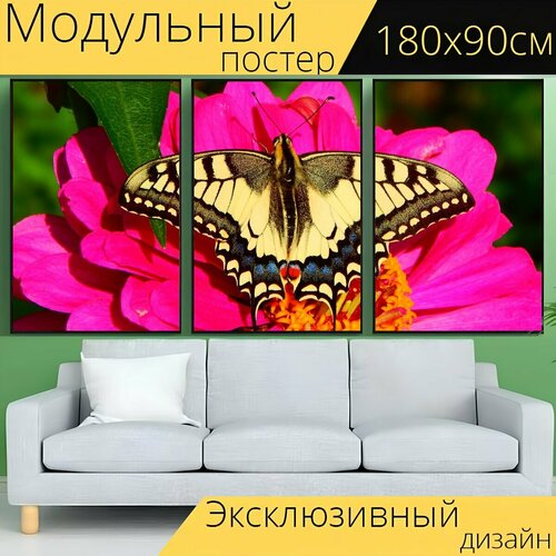 Модульный постер "Бабочка, ласточкин хвост бабочка, цинния" 180 x 90 см. для интерьера