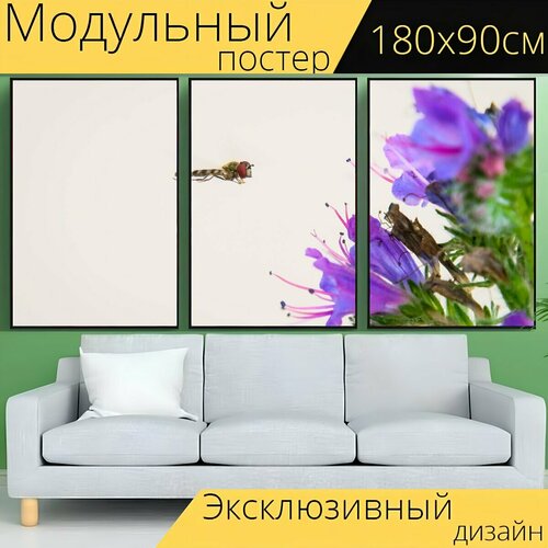 Модульный постер "В полете, насекомое, пчела" 180 x 90 см. для интерьера