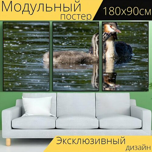Модульный постер "Водоплавающая птица, животное, вода" 180 x 90 см. для интерьера
