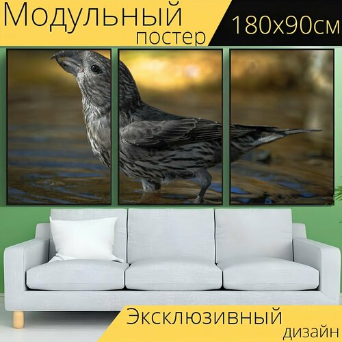 Модульный постер "Перекрестный счет, птица, вода" 180 x 90 см. для интерьера