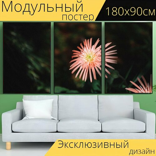 Модульный постер "Цветок, лепестки, листья" 180 x 90 см. для интерьера
