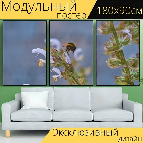 Модульный постер "Пчела, насекомое, летающий" 180 x 90 см. для интерьера