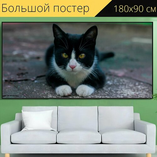 Большой постер "Кошка, животное, чернить" 180 x 90 см. для интерьера