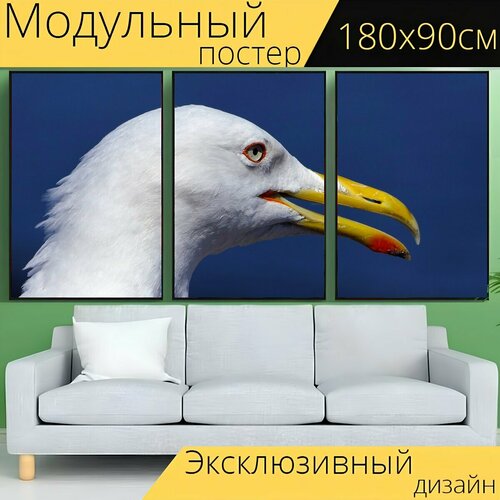 Модульный постер "Чайка, голова, портрет" 180 x 90 см. для интерьера