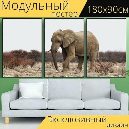 Модульный постер "Слон, африке, намибия" 180 x 90 см. для интерьера