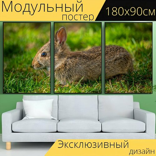 Модульный постер "Кролик, пасхальный, весна" 180 x 90 см. для интерьера