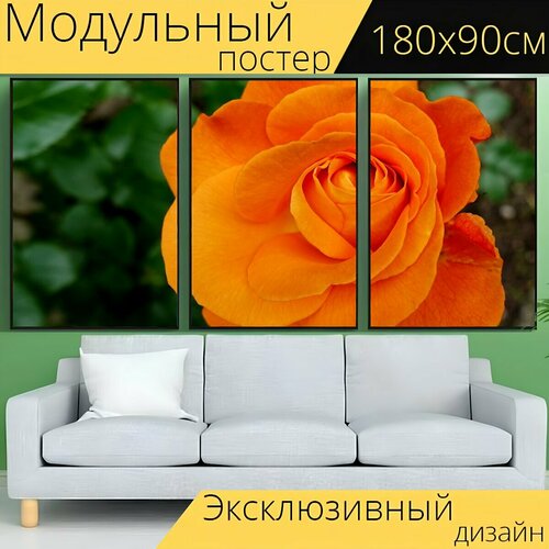 Модульный постер "Роза, цветок, цвести" 180 x 90 см. для интерьера