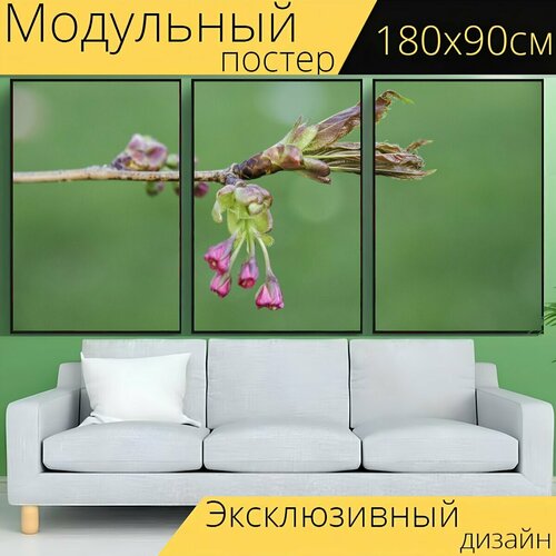 Модульный постер "Весна, цветок, кизил" 180 x 90 см. для интерьера