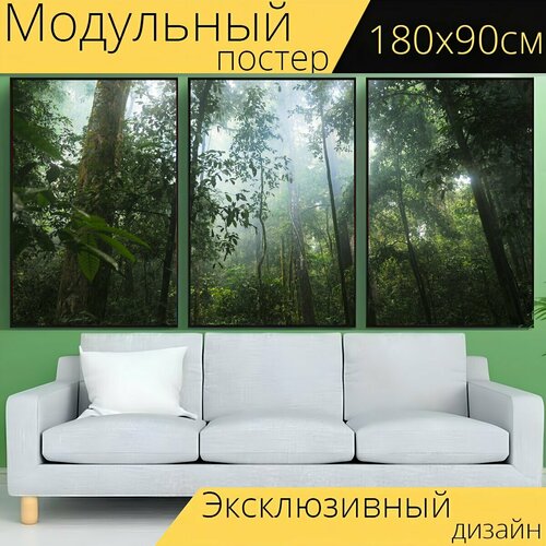 Модульный постер "Джунгли, лес, деревья" 180 x 90 см. для интерьера