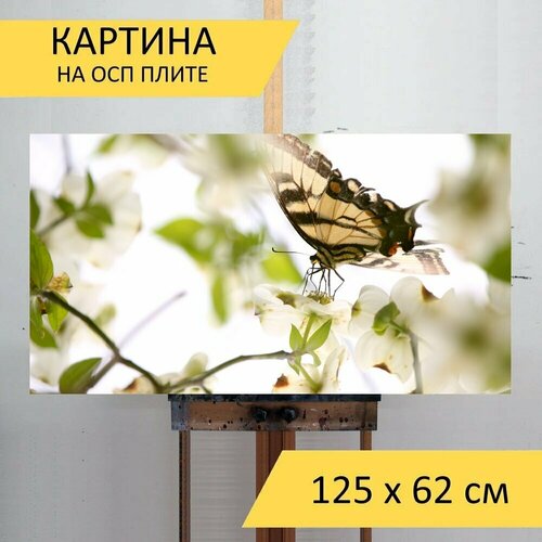 Картина на ОСП 125х62 см. "Бабочка, парусники бабочки, природа" горизонтальная, для интерьера, с креплениями