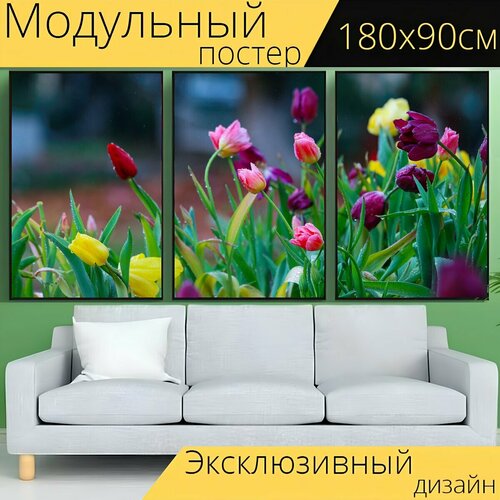 Модульный постер "Цветок, тюльпан, сад" 180 x 90 см. для интерьера