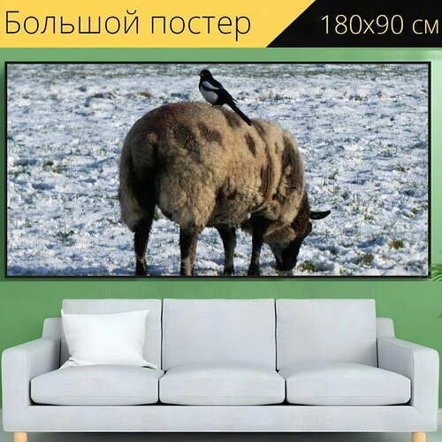 Большой постер "Болтун, овец, сыворотка" 180 x 90 см. для интерьера
