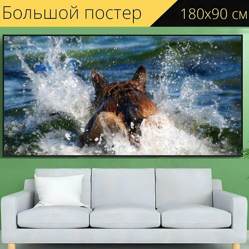Большой постер "Пастушья собака, собака, море" 180 x 90 см. для интерьера