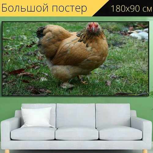 Большой постер "Курица, садовые цыплята, сад" 180 x 90 см. для интерьера