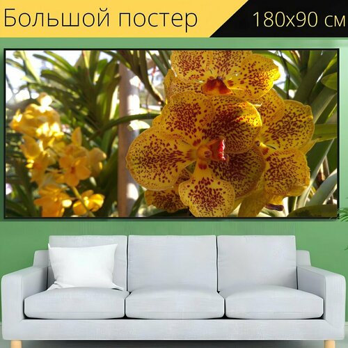 Большой постер "Орхидея, желтый, тропический" 180 x 90 см. для интерьера