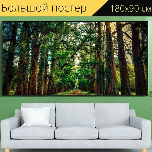 Большой постер "Лес, путь, деревья" 180 x 90 см. для интерьера