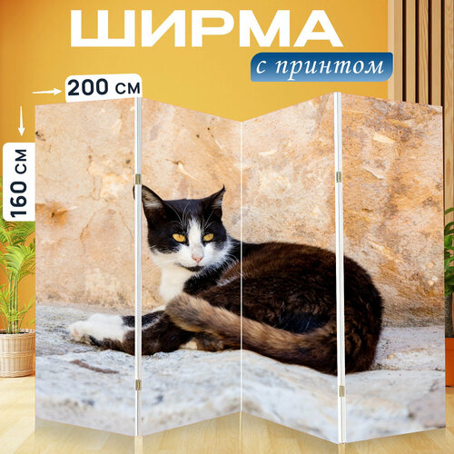 Ширма перегородка с принтом "Кот, домашнее животное, домашняя кошка" на холсте - 200x160 см. для зонирования, раскладная