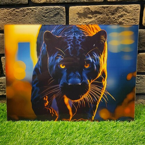 Картина на оргстекле "Черная пантера" Размер 60х40см