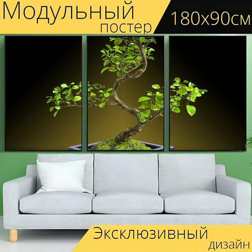 Модульный постер "Дерево, природа, бонсай" 180 x 90 см. для интерьера