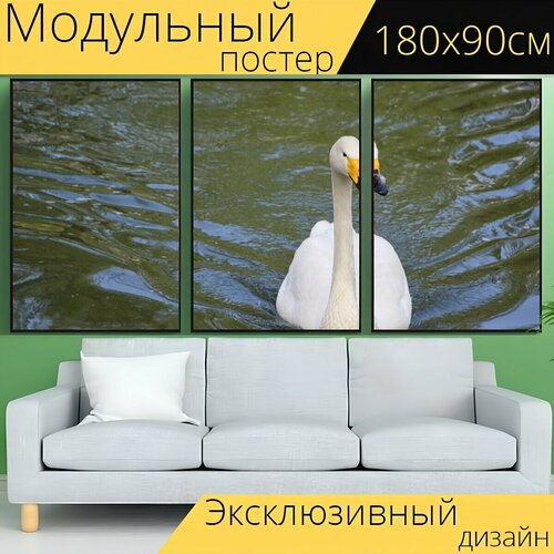Модульный постер "Птица, водоплавающая птица, пруд" 180 x 90 см. для интерьера