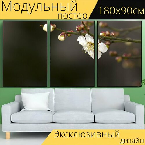 Модульный постер "Весна, цветение сливы, завод" 180 x 90 см. для интерьера