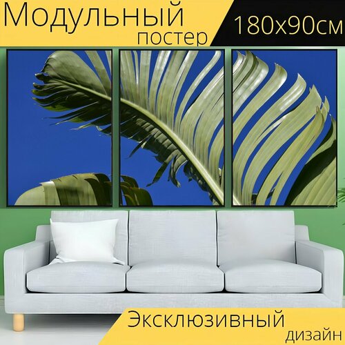Модульный постер "Банановые листья, листья, банановое дерево" 180 x 90 см. для интерьера