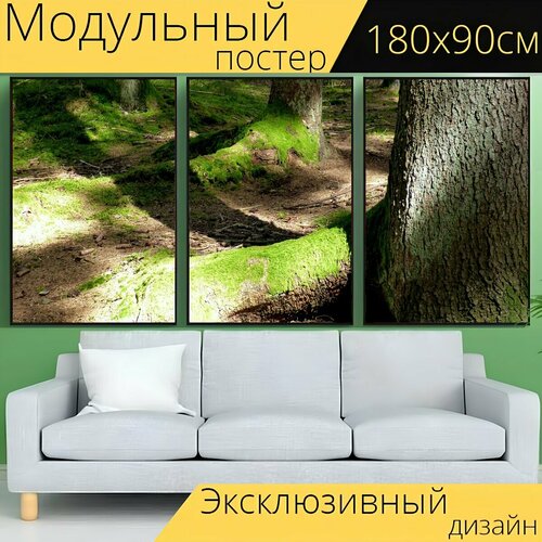 Модульный постер "Лес, корни деревьев, мох" 180 x 90 см. для интерьера