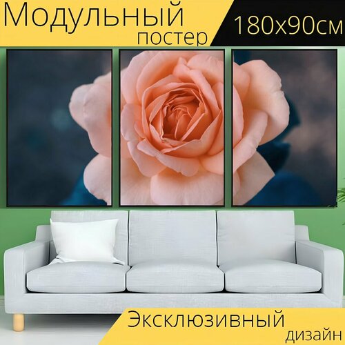Модульный постер "Цветок, роза, природа" 180 x 90 см. для интерьера