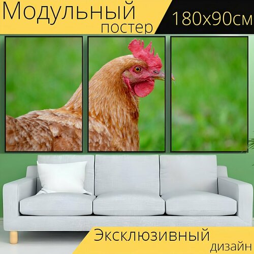 Модульный постер "Курица, портрет животных, домашняя птица" 180 x 90 см. для интерьера