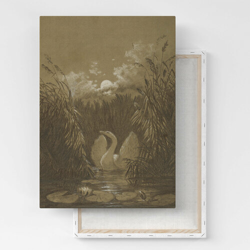 Картина на холсте, репродукция / Карл Густав Карус - A Swan Among the Reeds / Размер 40 x 53 см