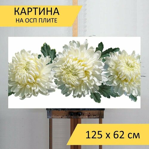 Картина на ОСП 125х62 см. "Хризантема, цветы, договоренность" горизонтальная, для интерьера, с креплениями