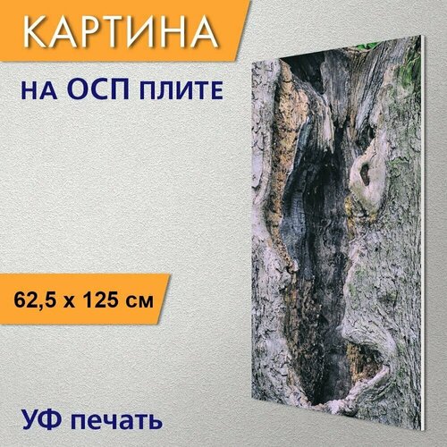 Вертикальная картина на ОСП "Ствол дерева, племя, сгнивший" 62x125 см. для интерьериа