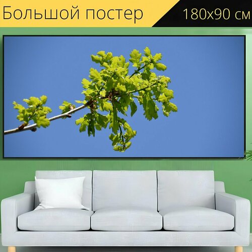 Большой постер "Листья дуба, листья в зеленый цвет, ветви кустарника" 180 x 90 см. для интерьера