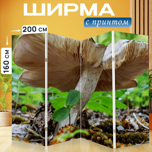 Ширма перегородка с принтом "Лесные грибы, гриб, деревянный пол" на холсте - 200x160 см. для зонирования, раскладная