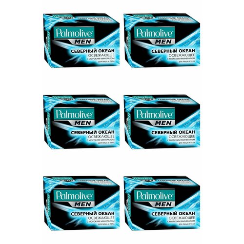 Palmolive Мыло туалетное мужское, Северный океан, 90 г, 6 шт.