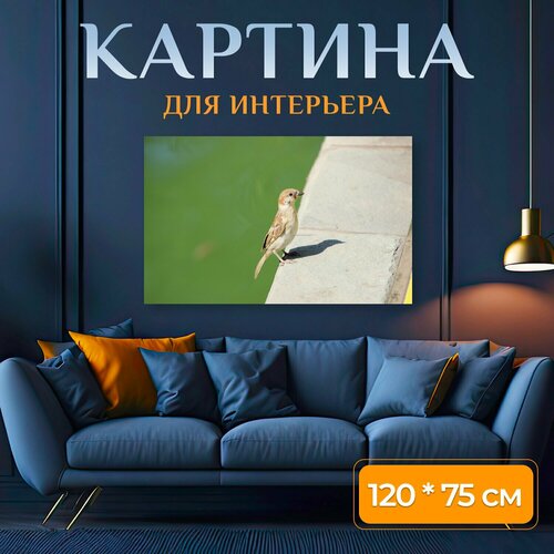 Картина на холсте "Воробей, птица, конкретный" на подрамнике 120х75 см. для интерьера