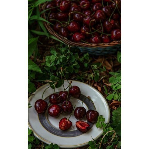 Картина на холсте 60x110 LinxOne "Черешня, вишня, ягода, тарелка" интерьерная для дома / на стену / на кухню / с подрамником