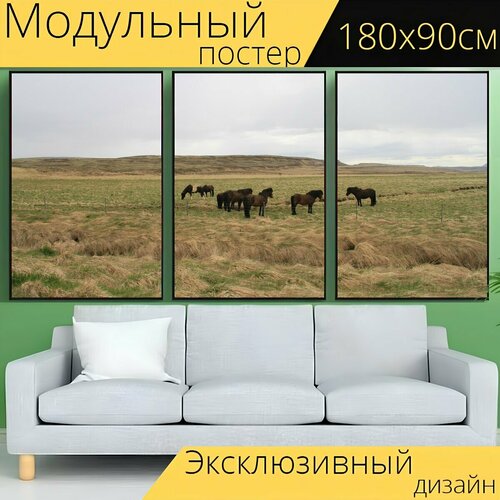 Модульный постер "Исландия, природа, лошадь" 180 x 90 см. для интерьера