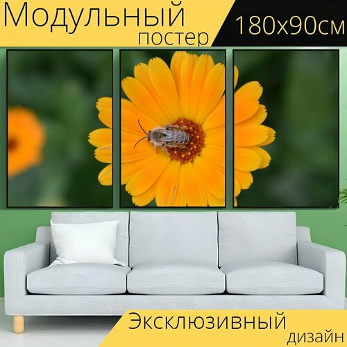Модульный постер "Цветок, календула, оранжевый" 180 x 90 см. для интерьера