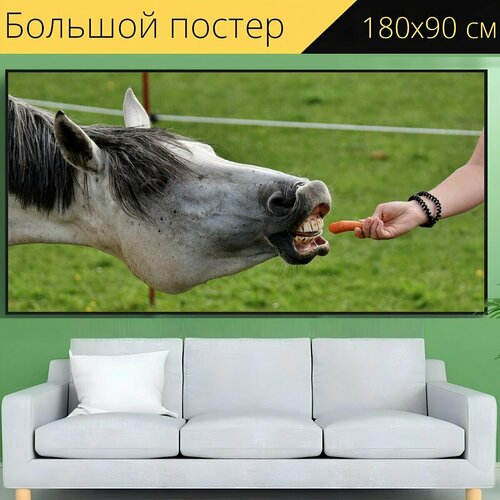 Большой постер "Плесень, лошадь, любовь к животным" 180 x 90 см. для интерьера