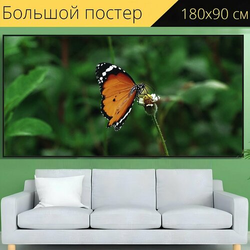 Большой постер "Бабочка, насекомое, оранжевый цвет" 180 x 90 см. для интерьера